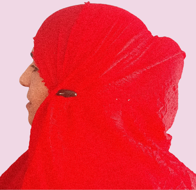 Farida Zet Zich In Voor Theater Taal En Verbinding Vermeylenfonds